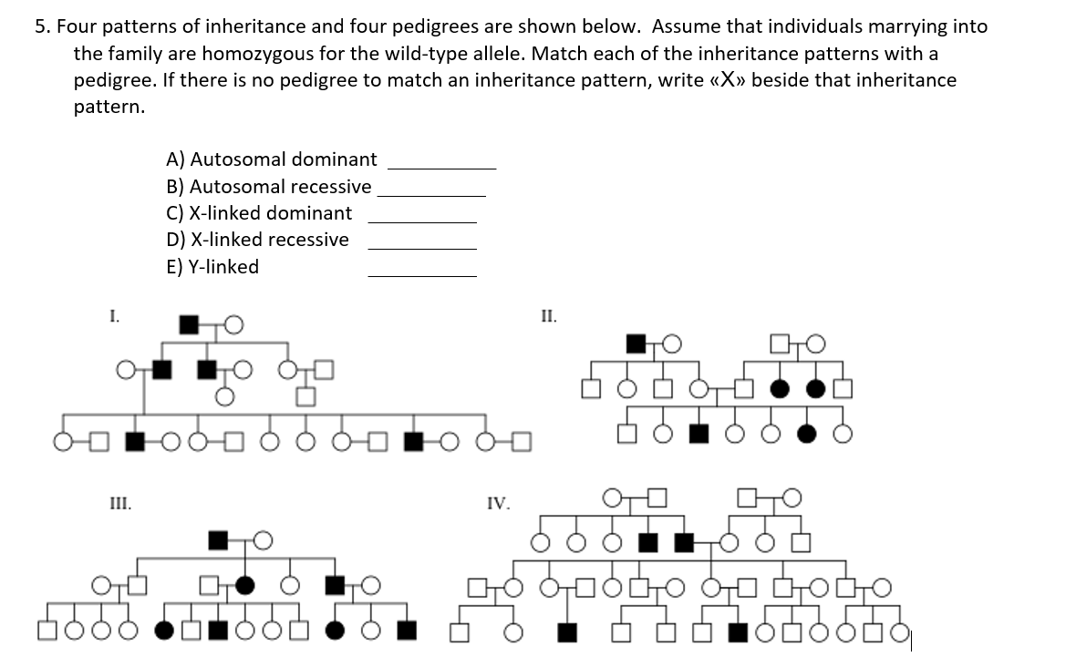 Solved 5. Four patterns of inheritance and four pedigrees | Chegg.com
