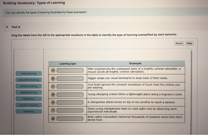 Solved Building Vocabulary: Types of Learning Can you | Chegg.com