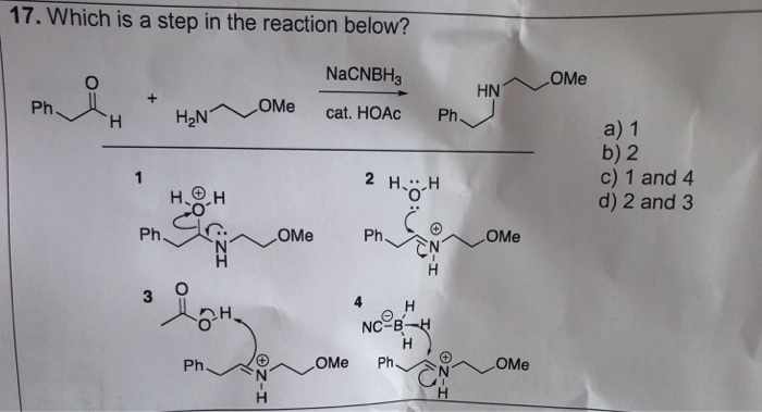 Solved 17. Which is a step in the reaction below? NaCNBH3 Ph | Chegg.com