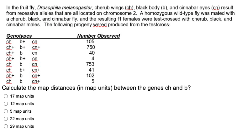 In the fruit fly, Drosophila melanogaster, cherub | Chegg.com