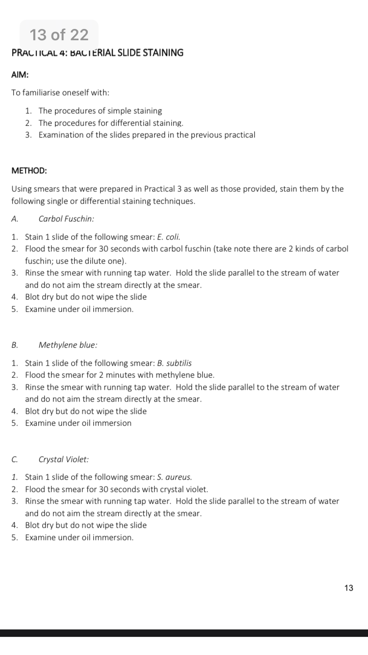 13 of 22 PRACTICAL 4: BACTERIAL SLIDE STAINING AIM: | Chegg.com