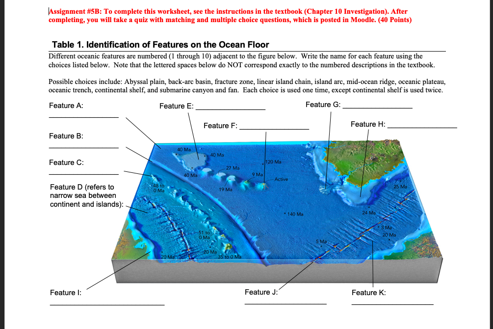 Solved Assignment #5B: To complete this worksheet, see the | Chegg.com