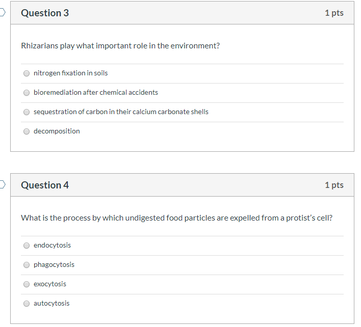 Solved Question 3 1 pts Rhizarians play what important role | Chegg.com