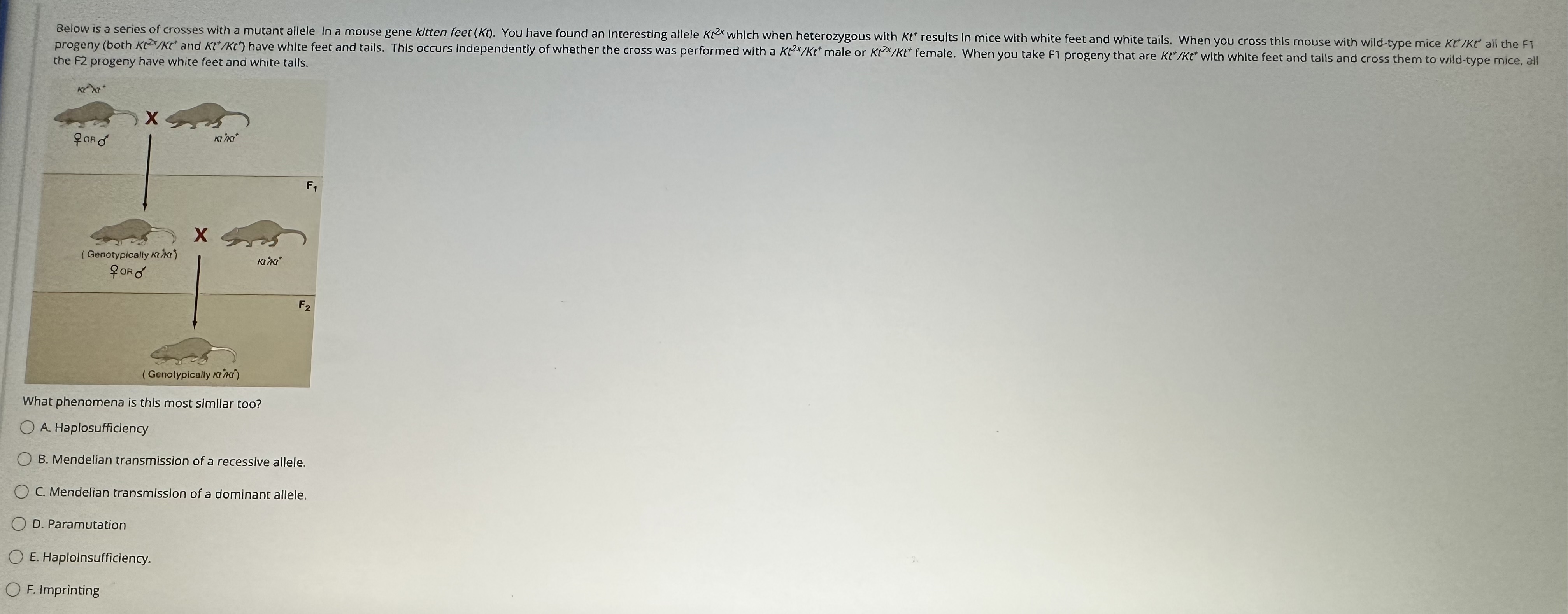 Solved What phenomena is this most similar too? A. | Chegg.com