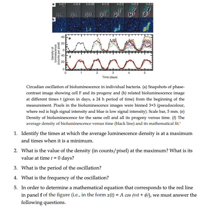 Damped Oscillations Gene expression in | Chegg.com