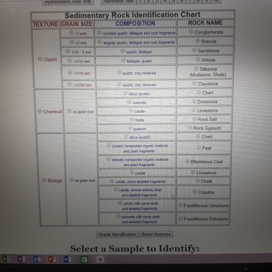 Solved EARTH SCIENCE LAB Sedimentary Sample #7: Identify the | Chegg.com