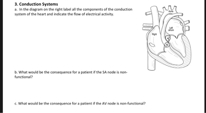 Solved 3. Conduction Systems a. In the diagram on the right | Chegg.com