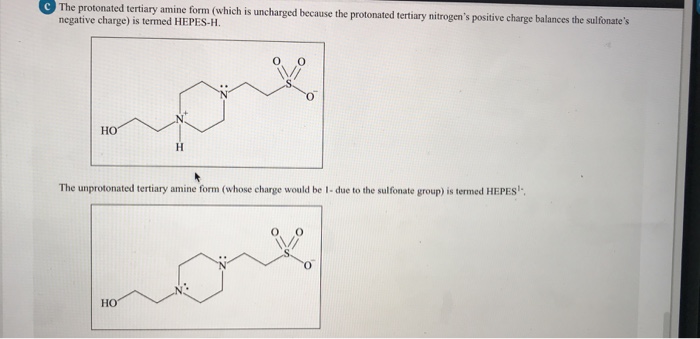 Solved Could someone please help me with c? I included the | Chegg.com