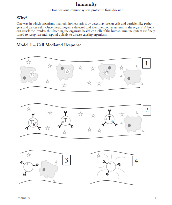 Solved Immunity How does our immune system protect us from | Chegg.com