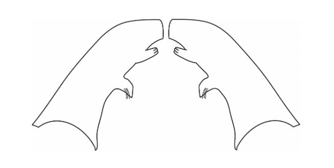 Solved Below is an illustration of a hypothetical animal. | Chegg.com