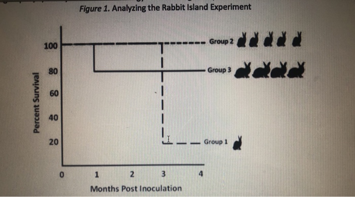 Solved 1. Calculate the survival rate for each group in | Chegg.com