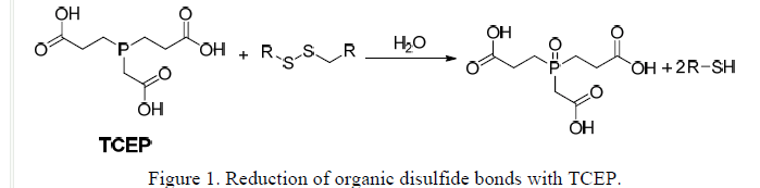 Solved Please provide detailed mechanism for this reaction | Chegg.com