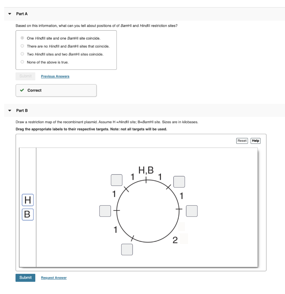 Draw a restriction map of the recombinant plasmid. | Chegg.com