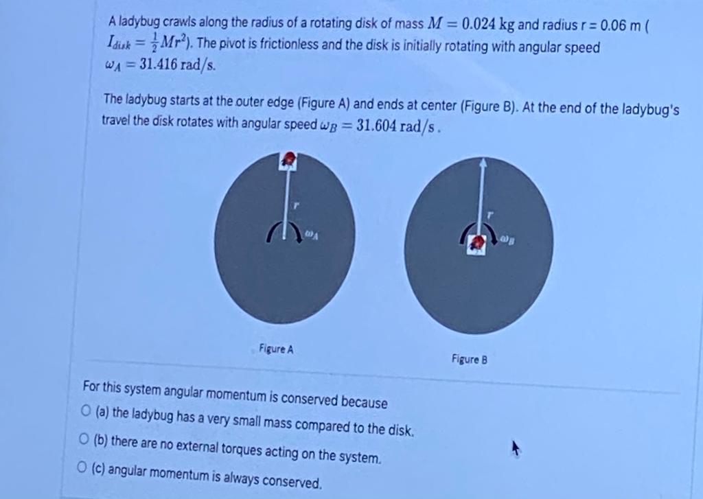 Solved A ladybug crawls along the radius of a rotating disk | Chegg.com