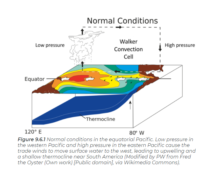 Solved Construct three sketches of cross-sections of | Chegg.com