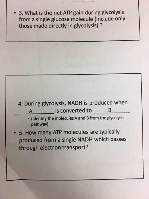 Solved 3. What is the net ATP gain during glycolysis from a | Chegg.com