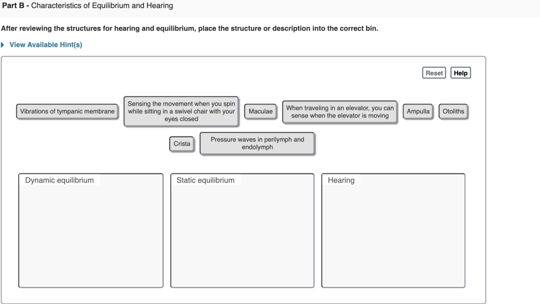 Solved Part B - Characteristics of Equilibrium and Hearing | Chegg.com