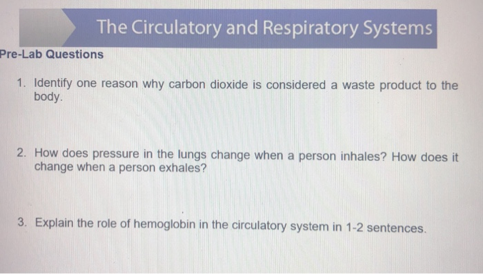 Solved The Circulatory and Respiratory Systems Pre-Lab | Chegg.com
