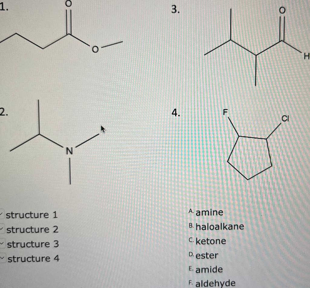 Solved 4. structure 1 A. amine structure 2 B. haloalkane | Chegg.com