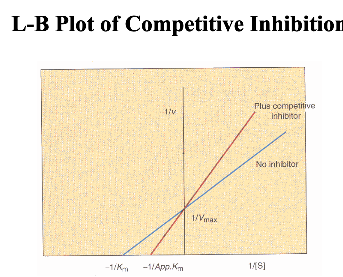 Solved Can someone please explain to me how to understand | Chegg.com