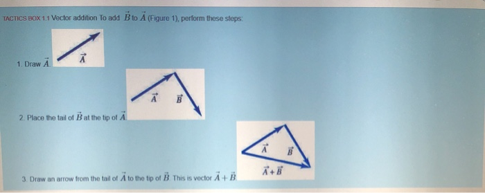 Solved TACTICS BOX 1.1 Vector addition To add B to A (Figure | Chegg.com