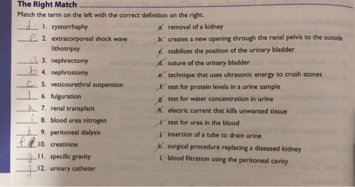 Solved The Right Match Match the term on the left with the | Chegg.com