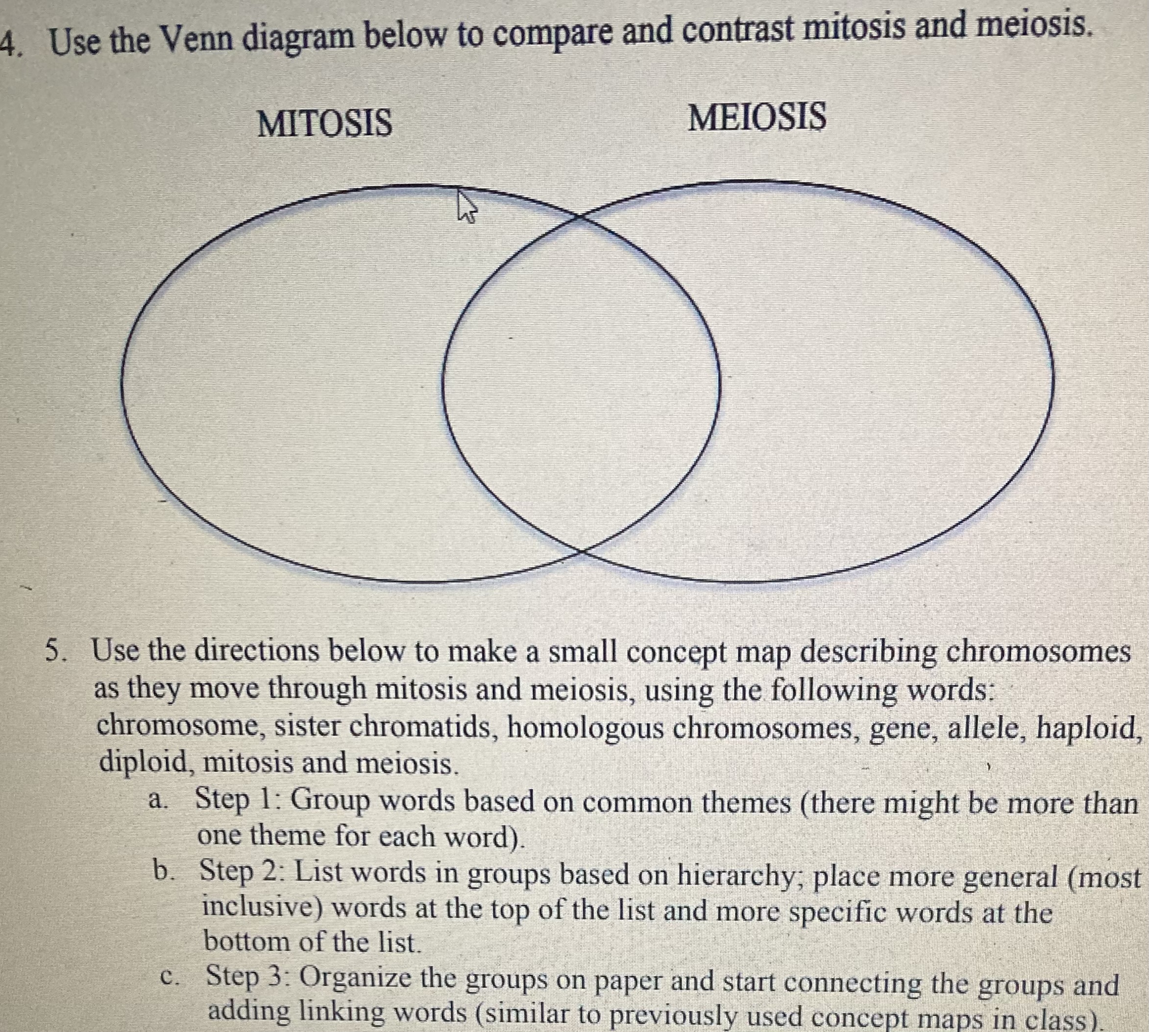 Solved Draw a haploid cell with three chromosomes. Label | Chegg.com