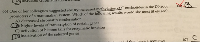 Solved eased ch 66) One of her colleagues suggested she try | Chegg.com