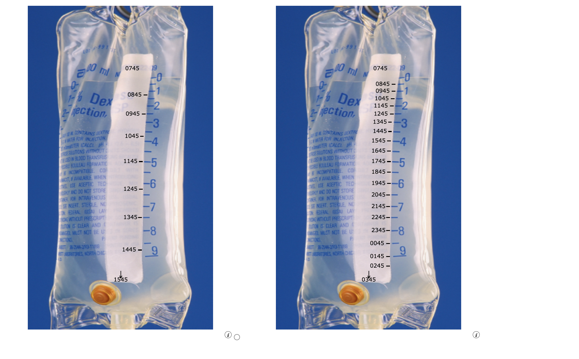 Solved Identify the correctly labeled solution bag for the | Chegg.com