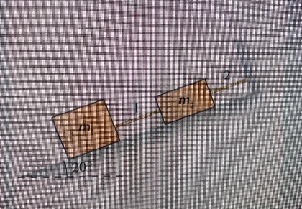 Solved What is the magnitude of the weight force vector | Chegg.com