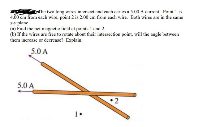 Solved The two long wires intersect and each caries a 5.00 A | Chegg.com
