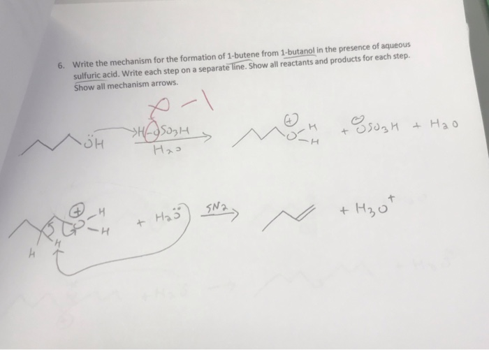 Solved 6. Write the mechanism for the formation of 1-butene | Chegg.com