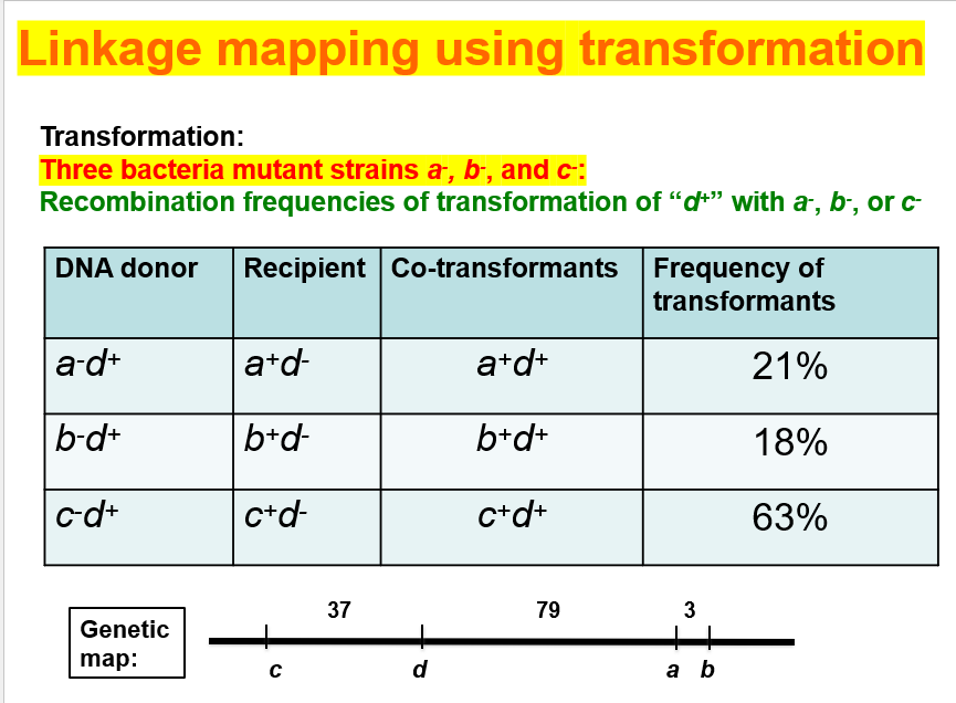 Linkage mapping using transformation Transformation: | Chegg.com