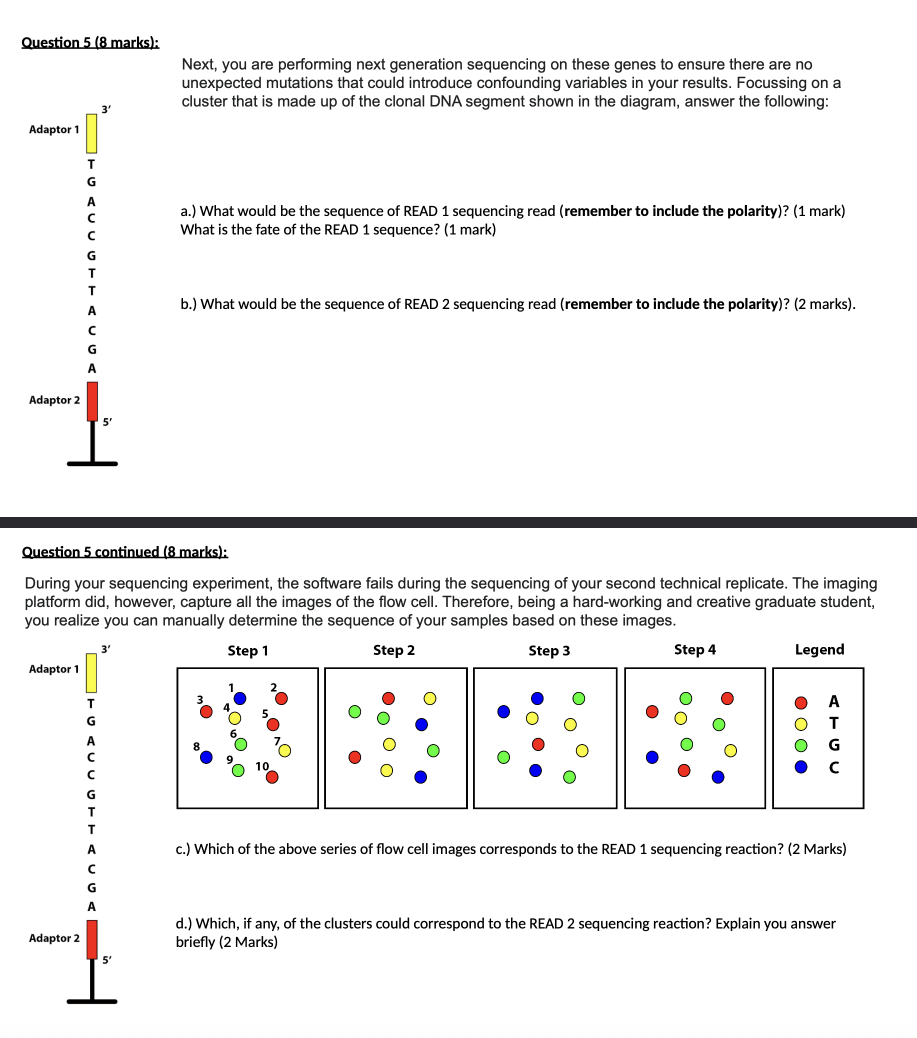 Solved Question 5 (8 ﻿marks): Next, you are performing next | Chegg.com