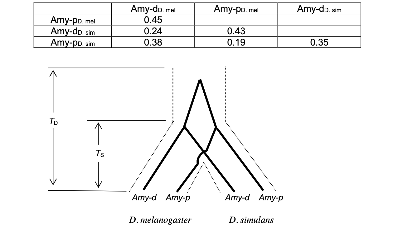 Use the Relative Rate Test to test the Molecular | Chegg.com