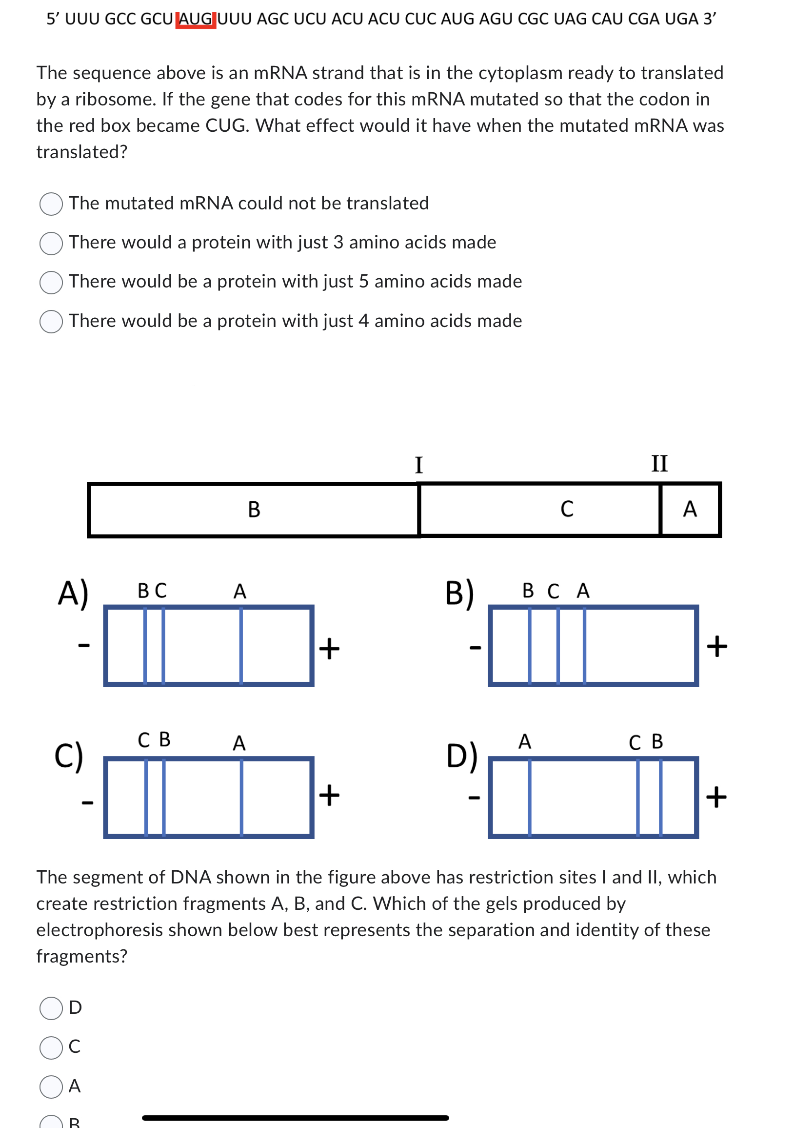 Solved The image above represents a replication fork during | Chegg.com
