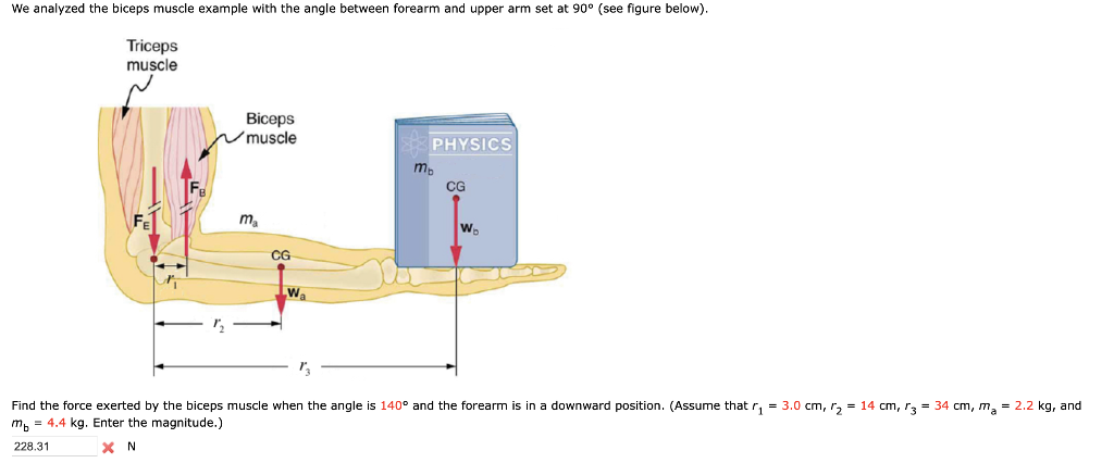 Solved We analyzed the biceps muscle example with the angle | Chegg.com