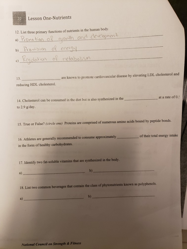 Solved 10 Lesson One-Nutrients 12. List three primary | Chegg.com