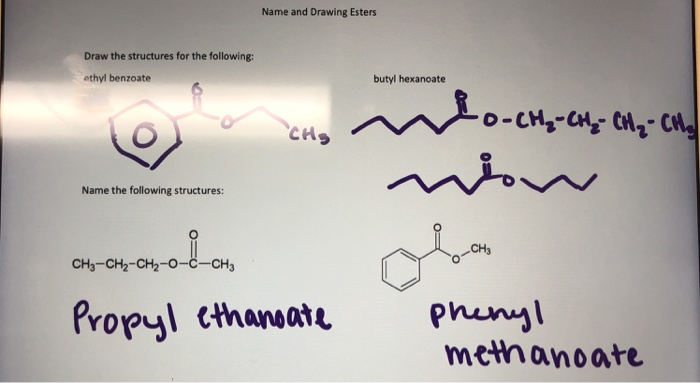 Solved Name and Drawing Esters Draw the structures for the | Chegg.com