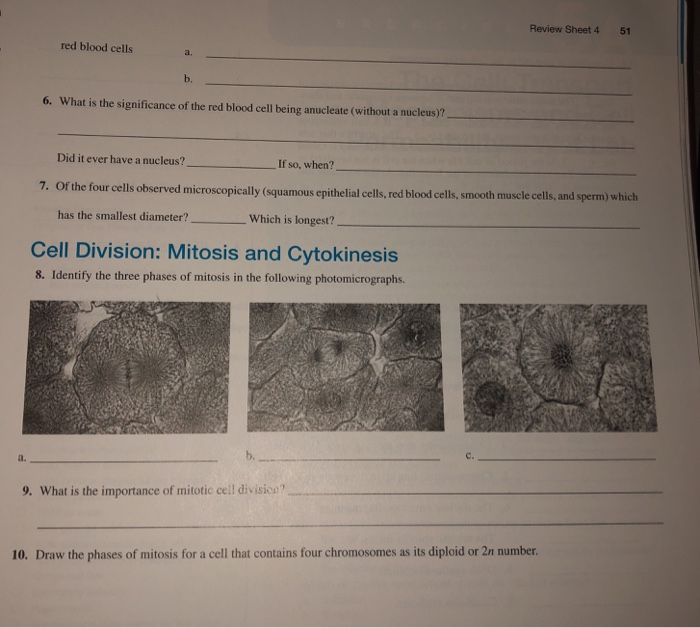 Solved The Cell: Anatomy and Division Anatomy of the | Chegg.com