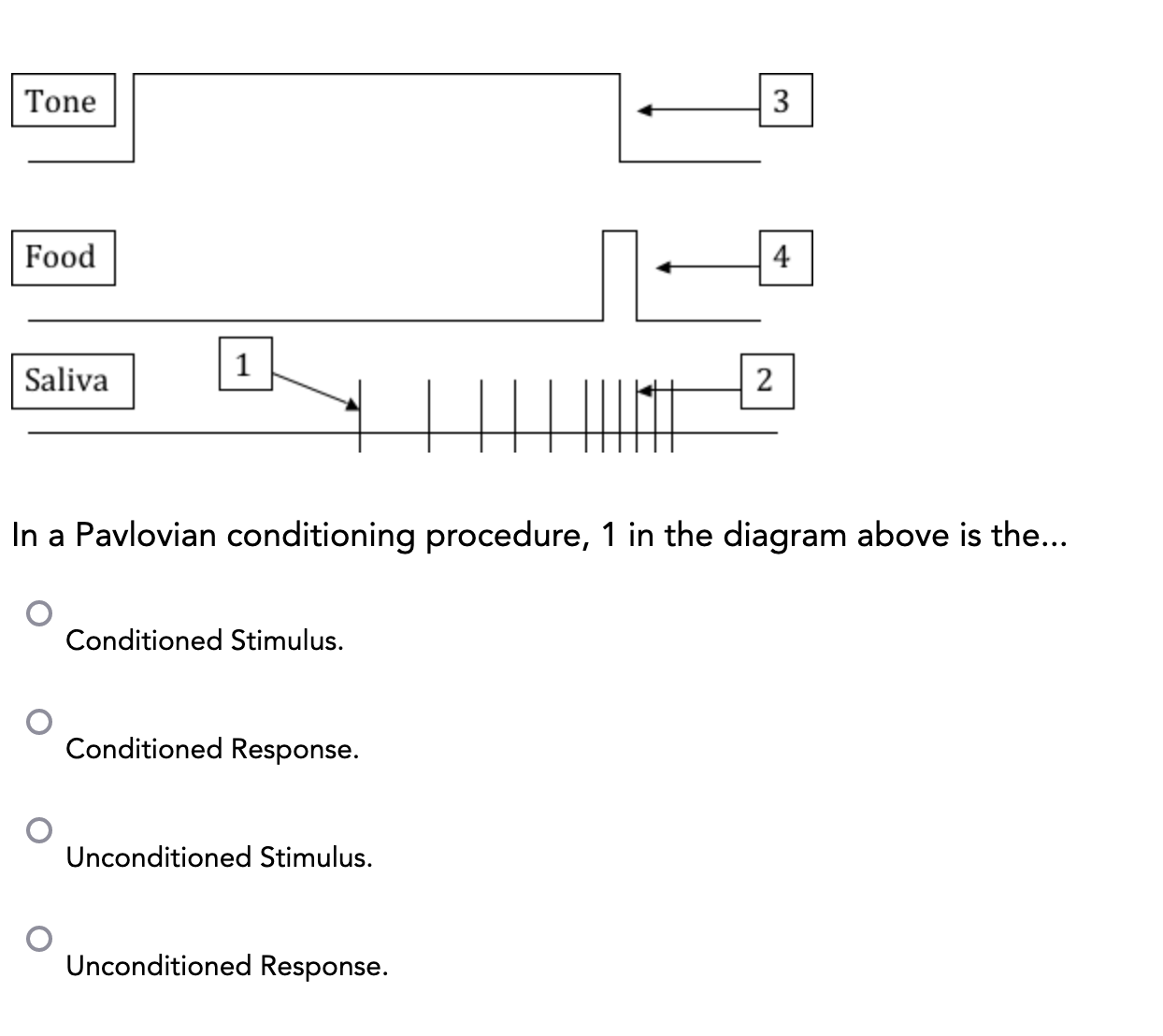 Solved In a Pavlovian conditioning procedure, 1 in the | Chegg.com