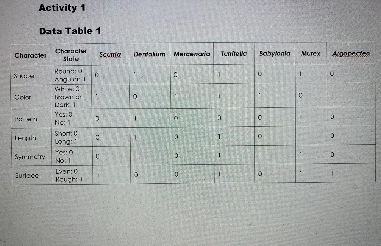 Below are two cladograms. The first is generated | Chegg.com