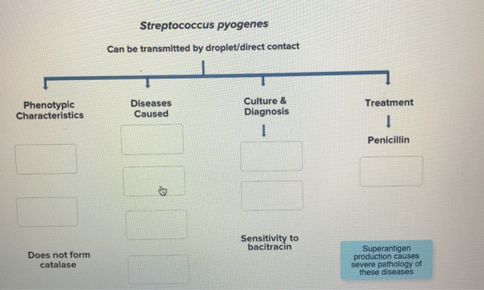 Solved Drag the labels to the correct category to | Chegg.com