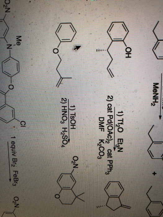 Solved MeNH2 он 2) cat Pd(OAc)2 cat PPh3 DMF K2cO3 O2N 1) | Chegg.com