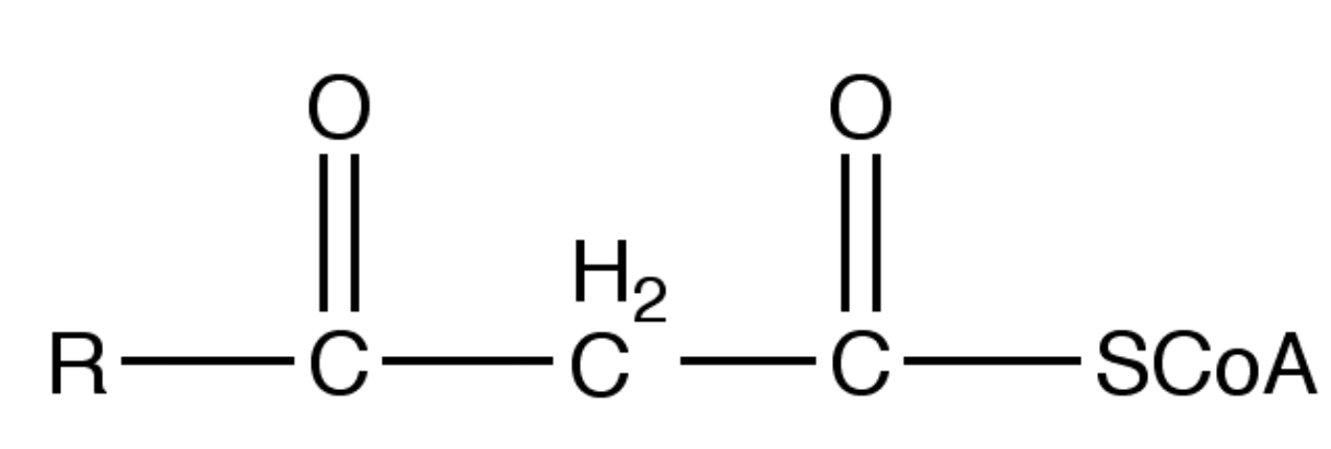Solved b-ketoacyl-CoA molecule is cleaved (with the aid of a | Chegg.com