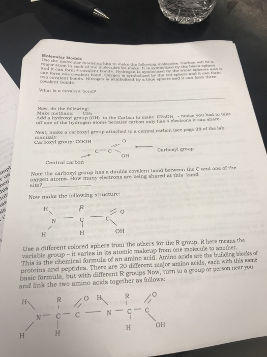 Solved Molecular Models Use the molecular modeling kits to | Chegg.com