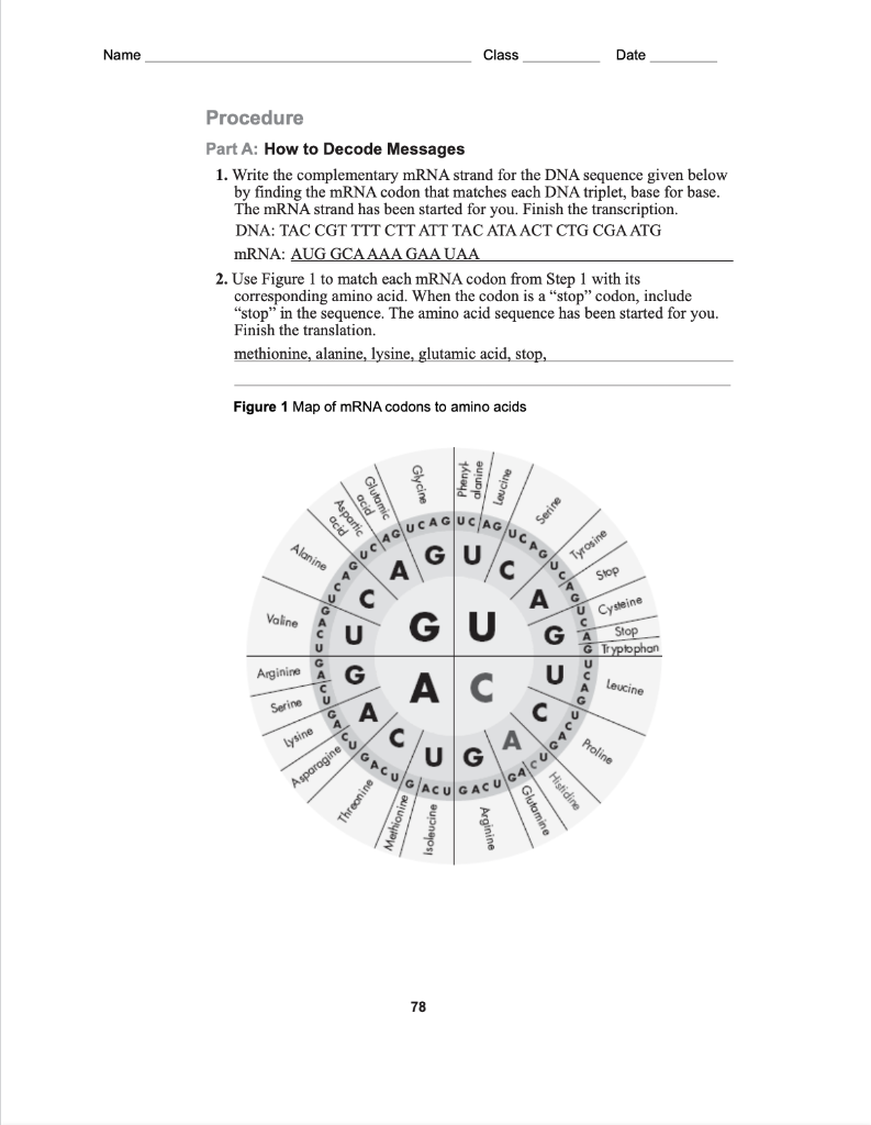 Solved Name Class Date Guided Inquiry. Skills Lab Chapter 13 | Chegg.com
