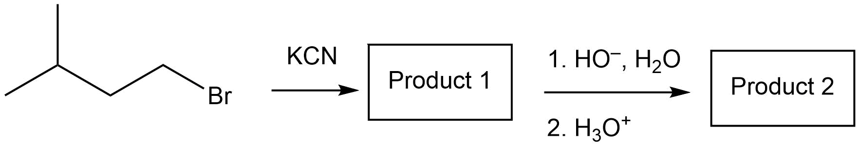 Solved Draw The Correct Structure Of The Indicated Product
