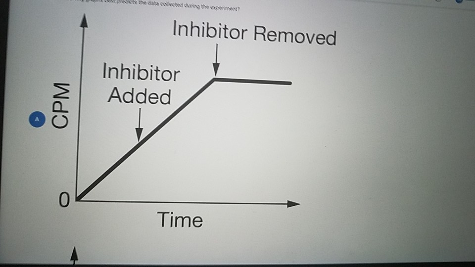 Solved Cycloheximide (CHX) is a eukaryote protein synthesis | Chegg.com