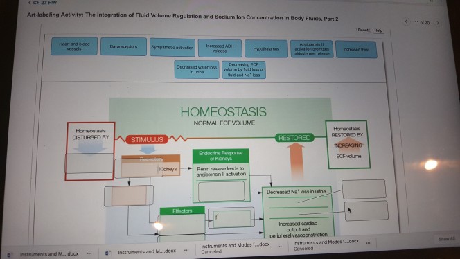 Solved c Ch 27 Hw Art-Jabeling Activity: The Integration of | Chegg.com